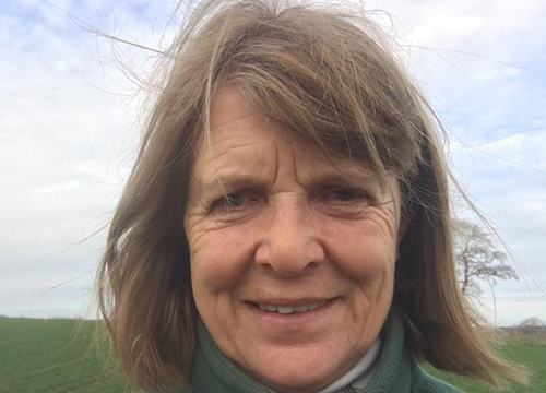 BDR Syndicates – Putting the fun in racehorse ownership